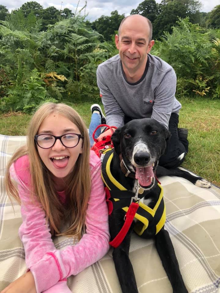 Butler | Kent Greyhound Rescue
