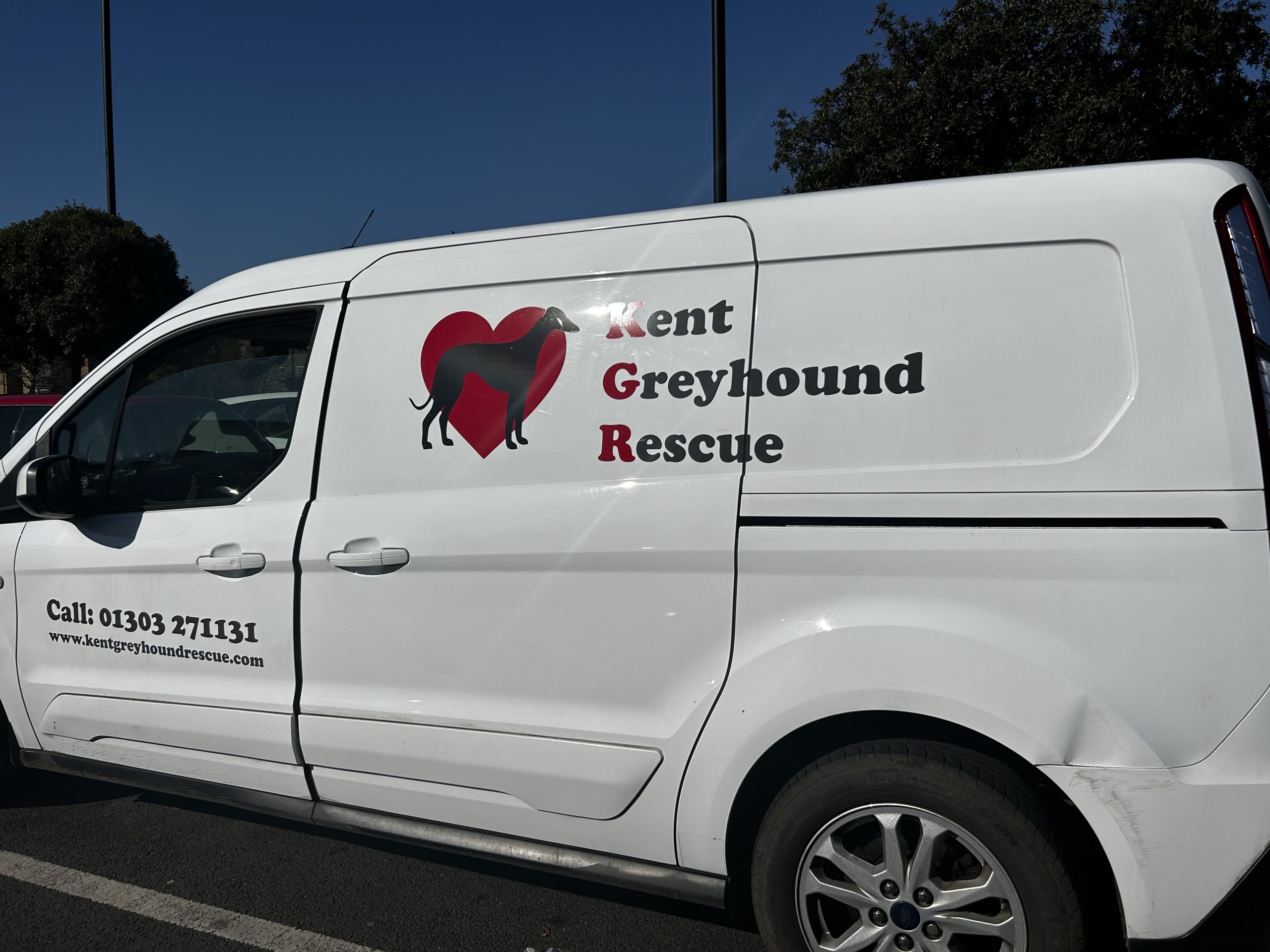 Kent Greyhound Rescue: Animal Rescue and Adoption
